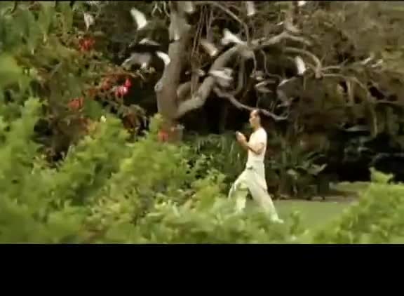 2010宣传片全球奖最佳文案