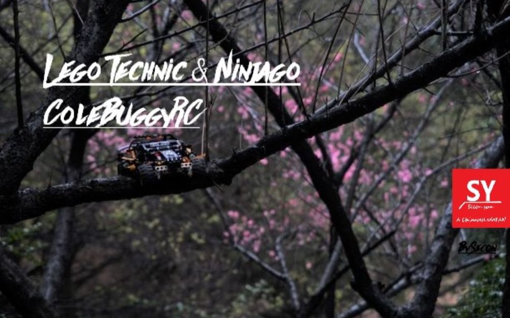 乐高幻影忍者LEGO Technic & Ninjago ColoBuggyRC【4K】乐高科技组...