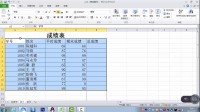 EXCEL2010美化修饰表格