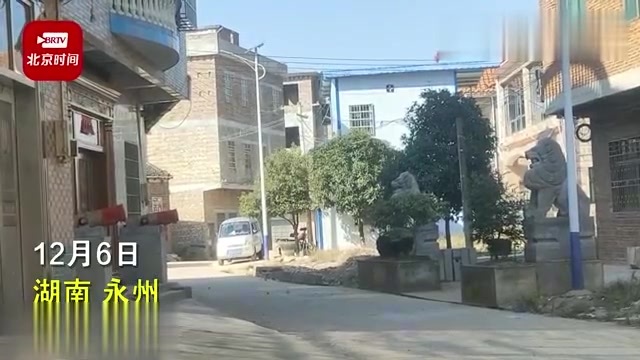 大炮VS石狮!这俩对门邻居火了村干部:已组织协调