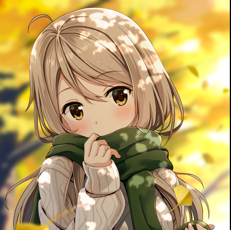 xikou酱 