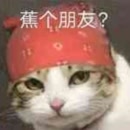 篮猫_ 
