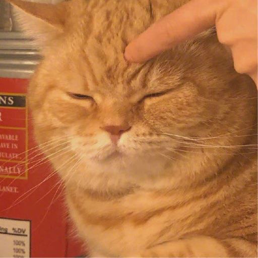 地狱黑化马桶拖拉机 