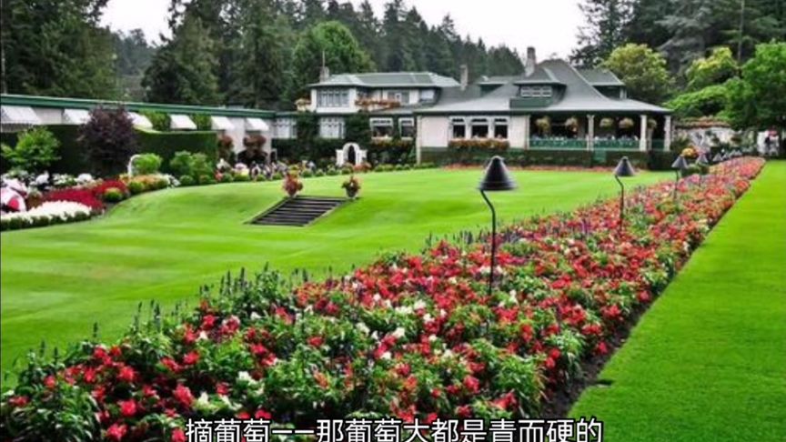 花匠 作者王安忆