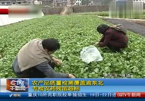 农产品质量检测覆盖渝东北 专检农药残留超标