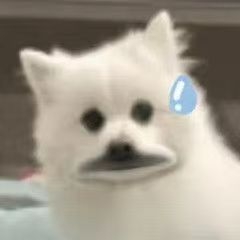 么么哒_米诺 