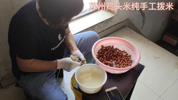 苏州鸡头米纯手工拨米视频,看着还挺好玩的