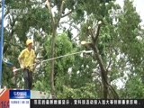 [午夜新闻]广东湛江:台风过境 城区供电恢复要三天