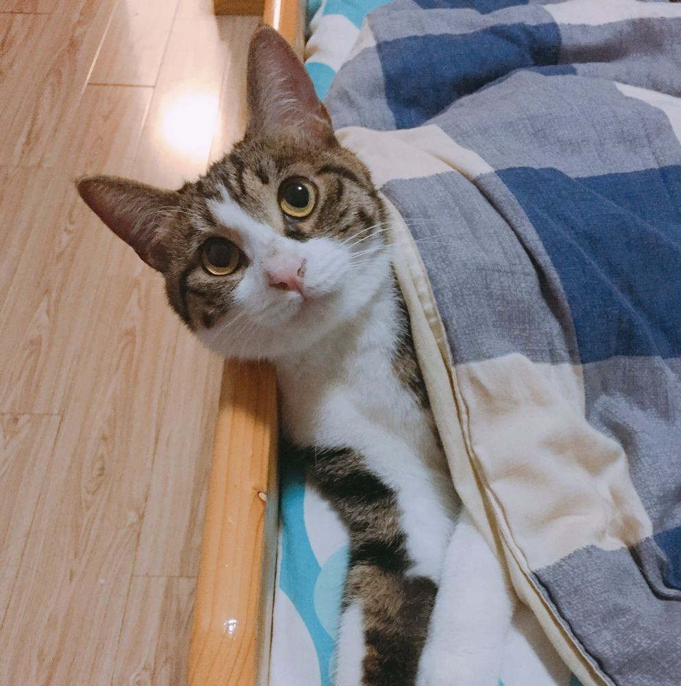 彪形大汉地狱吼 