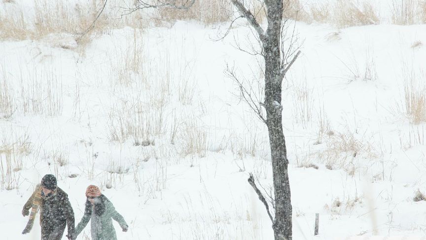 挪威的森林3D②