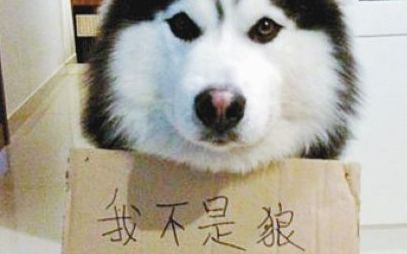 积分商城糯米球相册展示