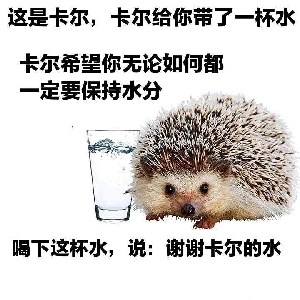 七知岁 