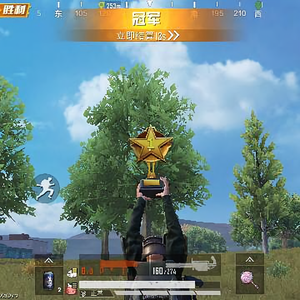 红尘四铁粉 