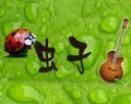 虫子乐器 