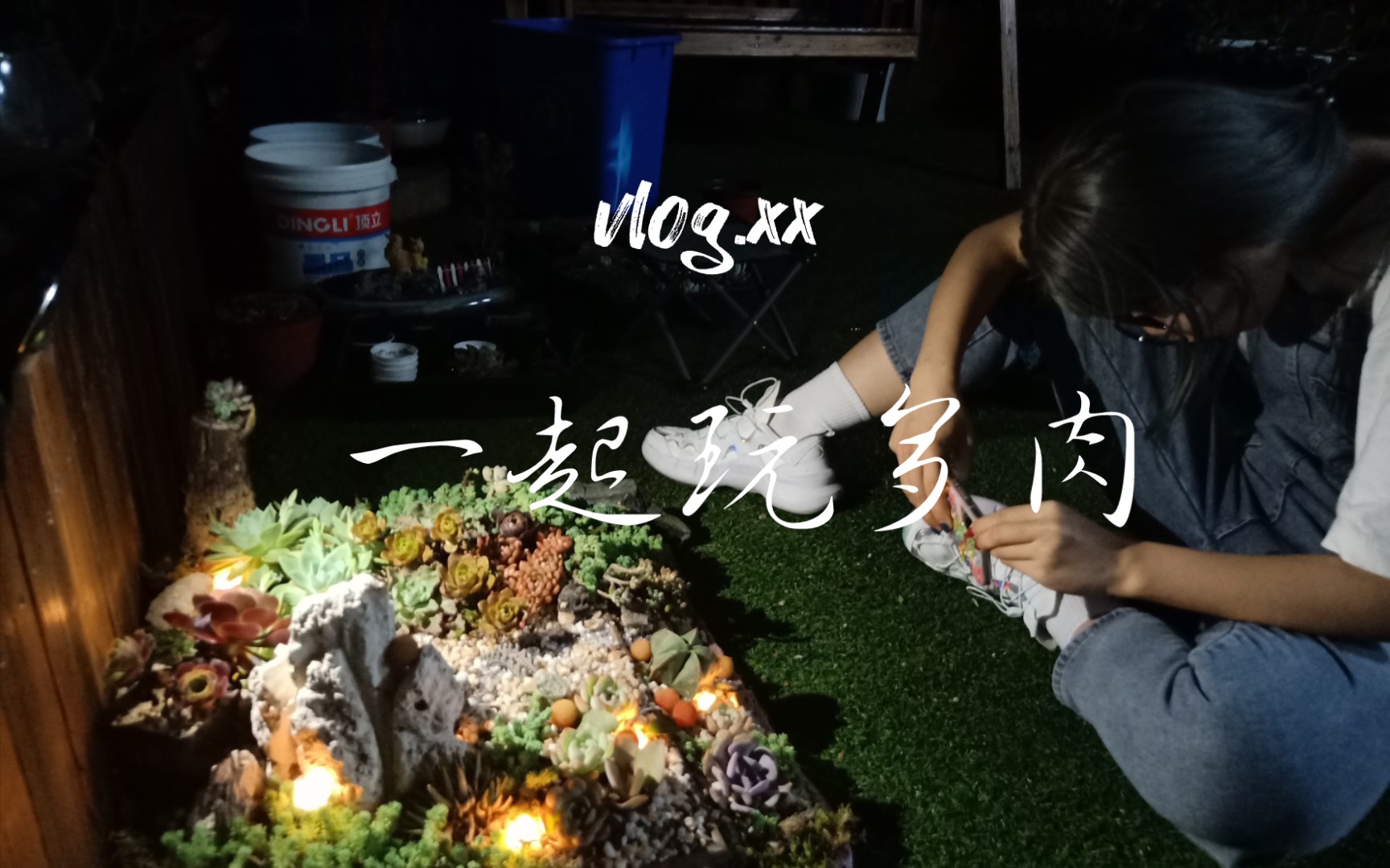 毛同学的景观设计作业——森林王国