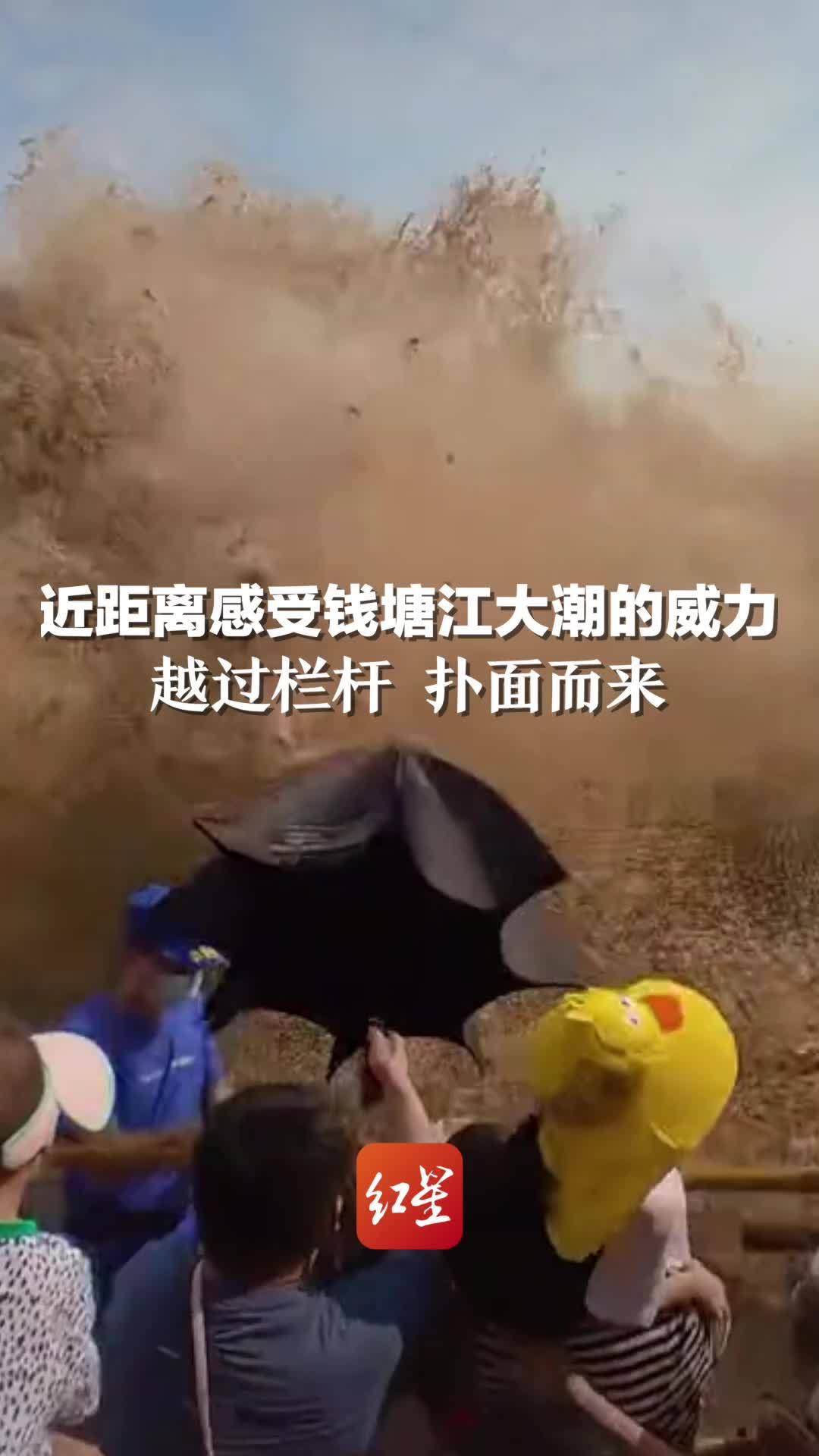 近距离感受钱塘江大潮的威力,越过栏杆,扑面而来