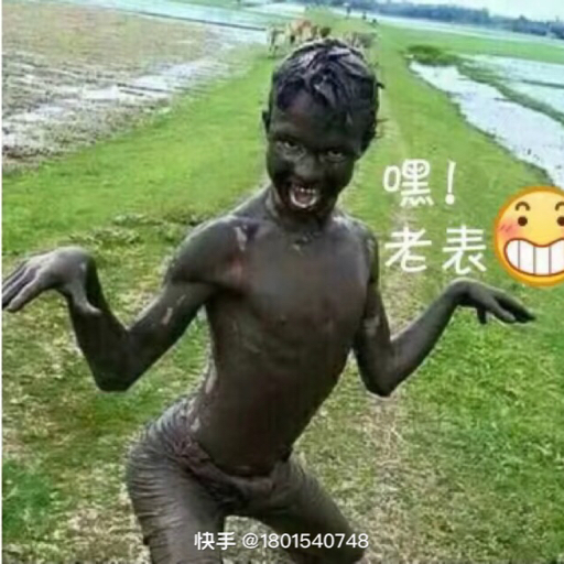仙柳大爷的闲聊 