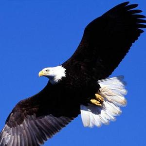 老王讲民间故事 