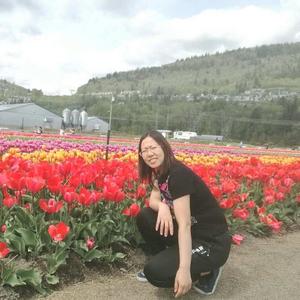 加拿大小蜜蜂Alice 