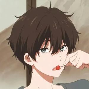 探险家李子 