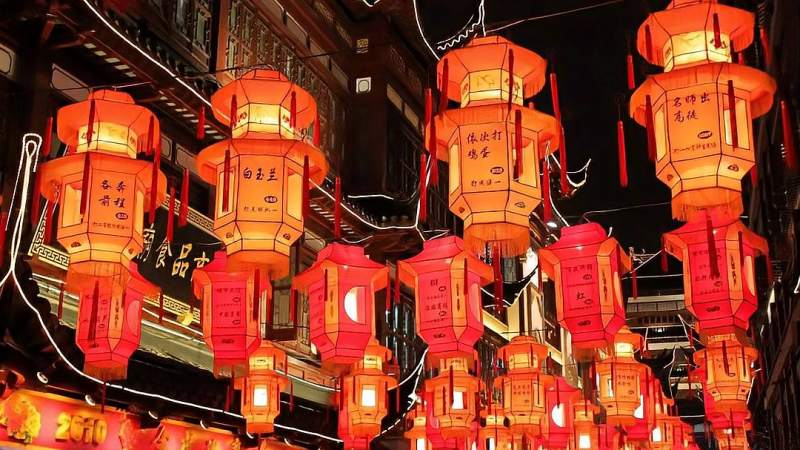 小学语文部编版五年级下册习作二《写读后感》视频讲解、习作范文