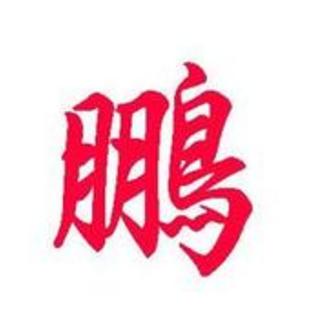 新华小鹏 