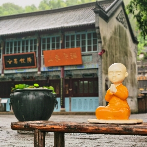 知行合一的Tom 