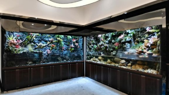 #生态缸 #雨林缸造景 两个3米42的大型雨淋原生态缸