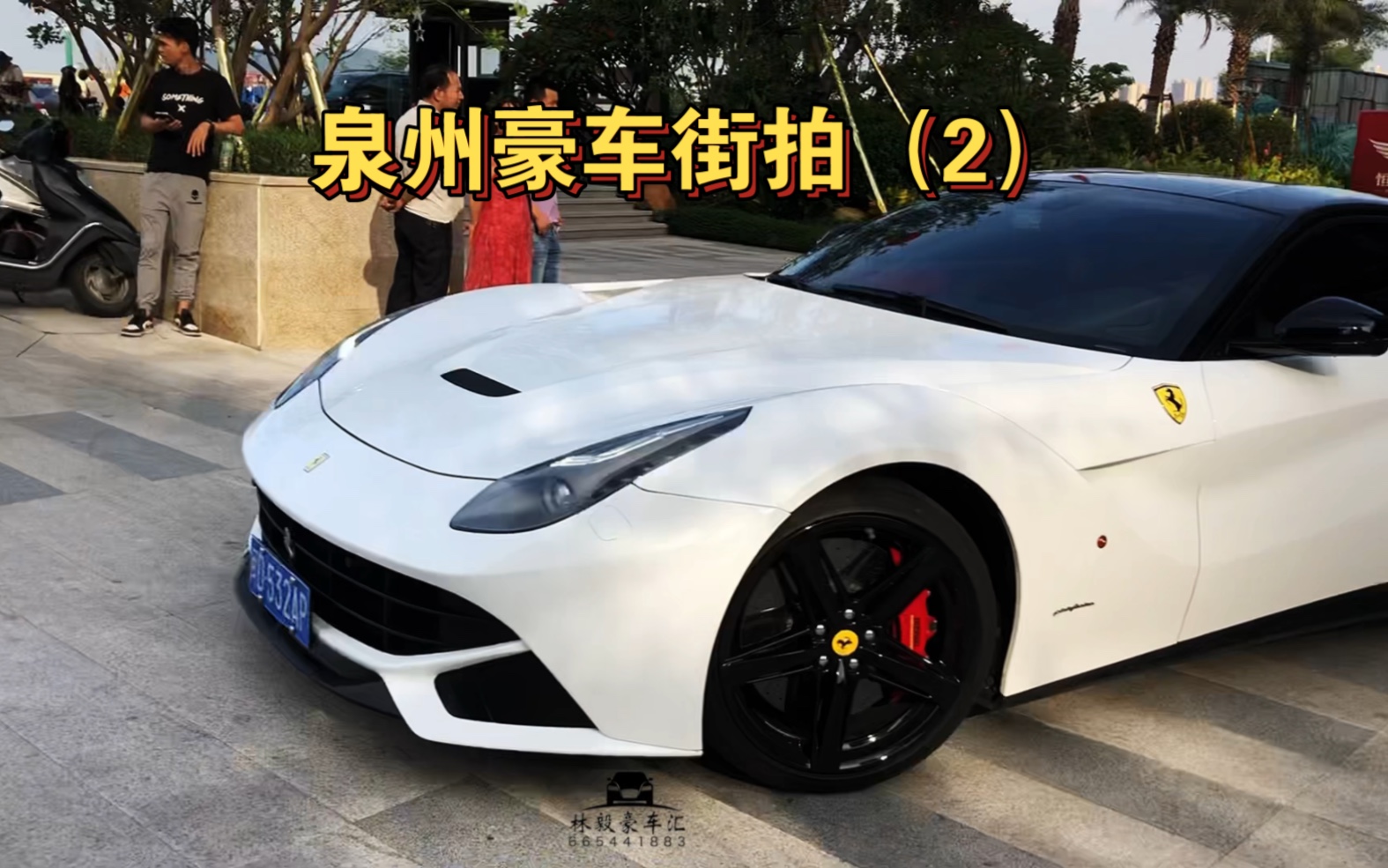 泉州豪车街拍