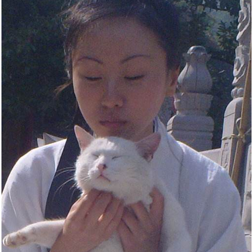 小火火火花 