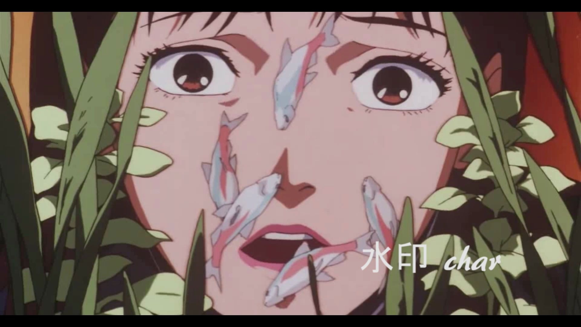 未麻的部屋pr剪辑练习