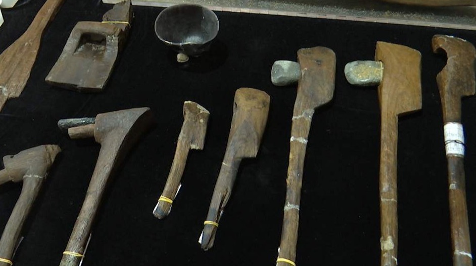 8000年前科技落后,沿海人民如何利用海洋资源?看完醍醐灌顶