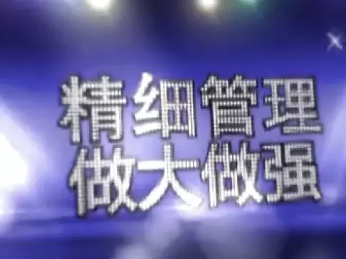 2015精细化管理现场会花絮37分钟