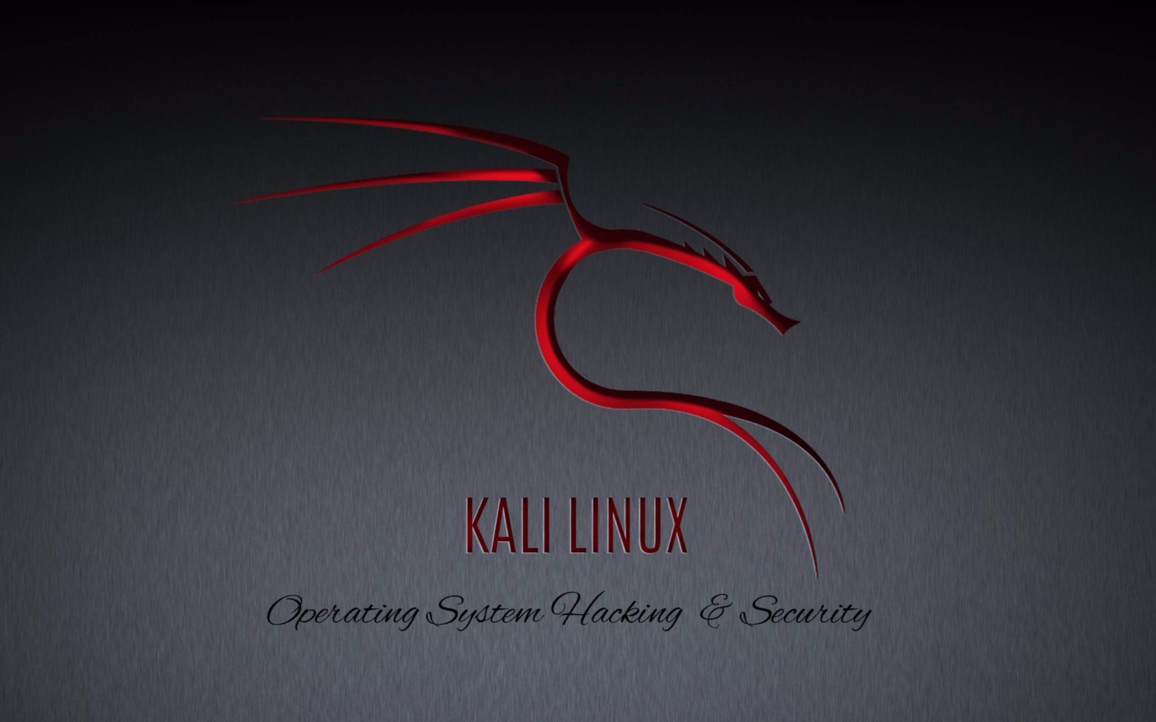 Kali_Linux系统安装