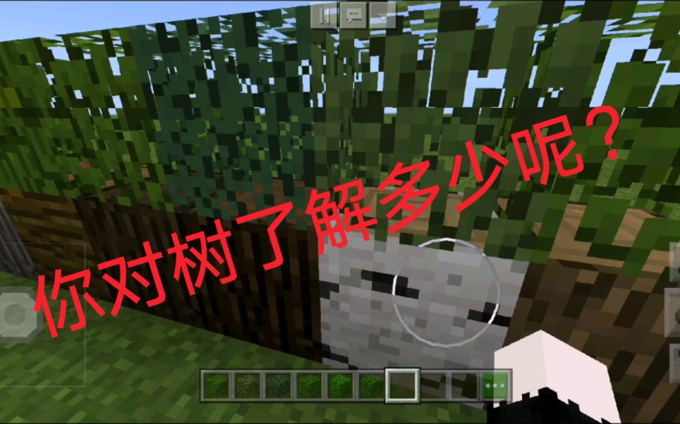 这不是教学#2:我的世界中你对树木了解多少呢?