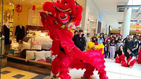 #国外也过年# 2019春节,温哥华商场里的舞狮表演
