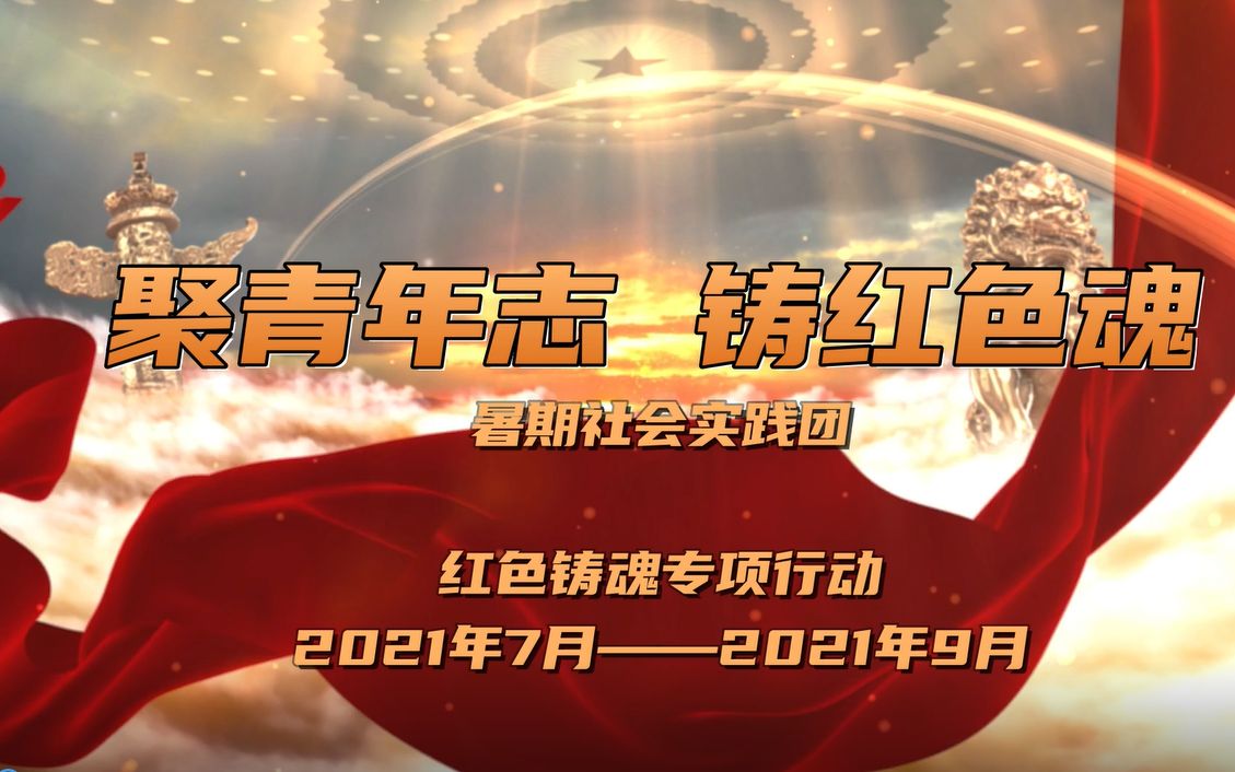 暑期社会实践|“聚青年志 铸红色魂”暑期社会实践团微记录视频