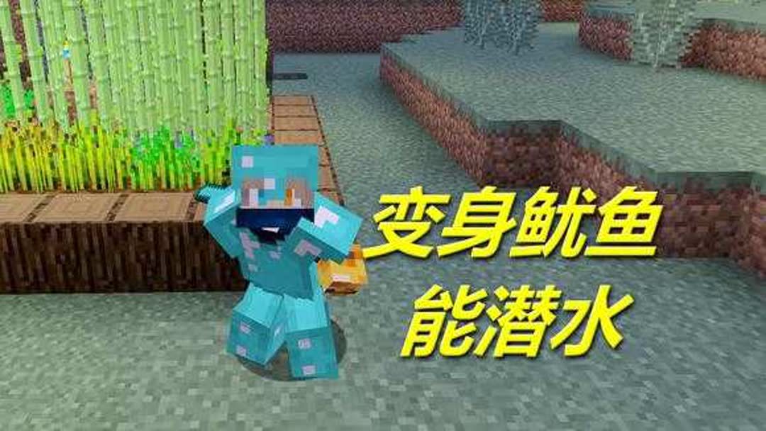 火焰解说 我的世界 1739 变身鱿鱼能潜水 火焰模组生存