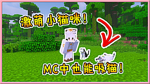 我的世界模组:铲屎官必备激萌小猫咪!教你在MC中也能正确吸猫!
