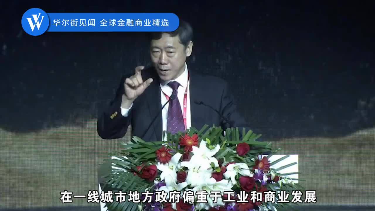 李稻葵谈土地使用权转让:目前地方上过于短视