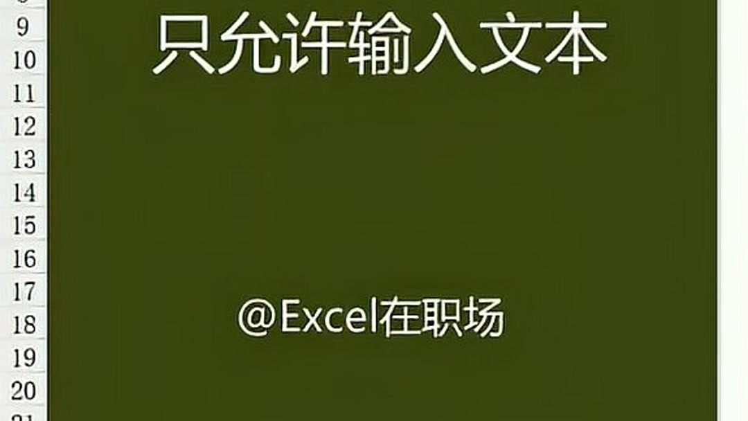 让你的单元格只可以输入文本或数字,提高Excel输入规范操作