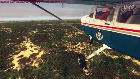 微软模拟飞行 FSX C172丛林起降