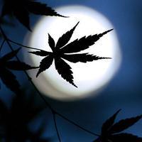 你们早已温暖我的初秋 