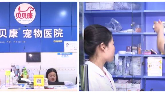 查!“贝贝康宠物“宠物用药室发现人用药?处方笺未落实签字规范