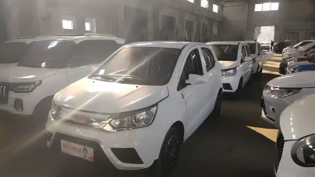 (品牌家族)低速电动车,老年代步车。