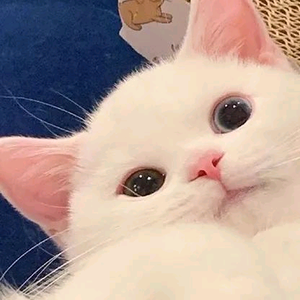 用户6557235922928 