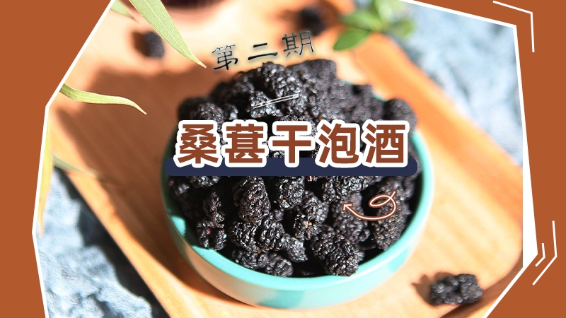 正宗桑葚干泡酒,90%的人都想学 30秒教会你