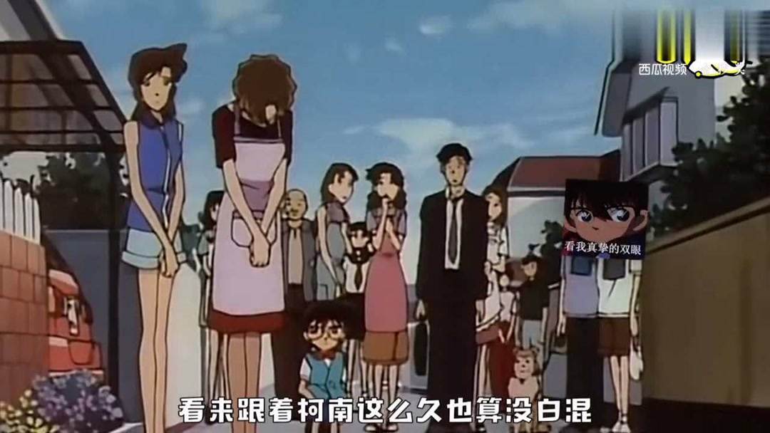 名侦探柯南推理女神排行榜!,有她们在不用柯南!