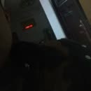 小淄gg 