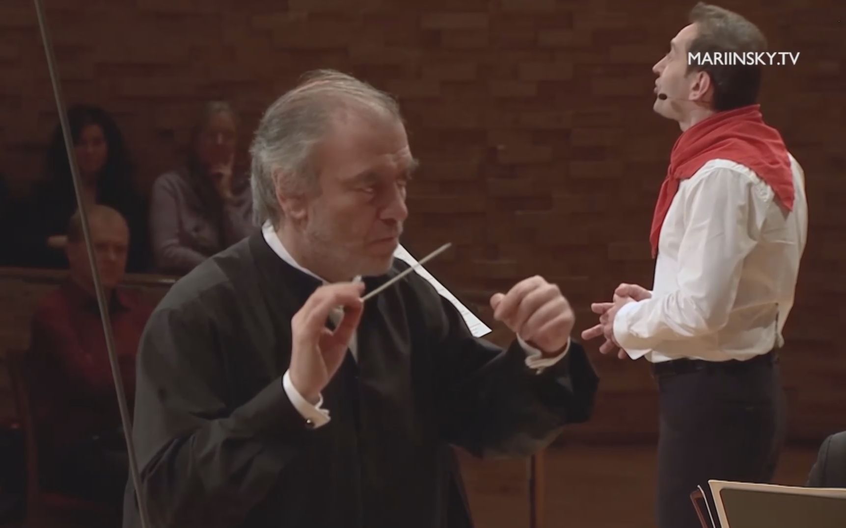 捷杰耶夫指挥普罗科菲耶夫《彼得与狼》马林斯基管弦乐团 Valery ...